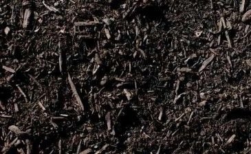 Qué es la descomposición - Escuelapedia - Recursos Educativos